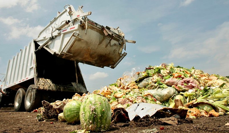 Organics – Pacific Waste Plus