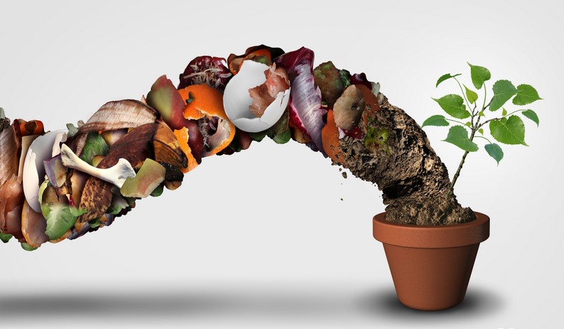 Technical Experts to Fill the Data Gap – Organic “Waste” to Organic ...