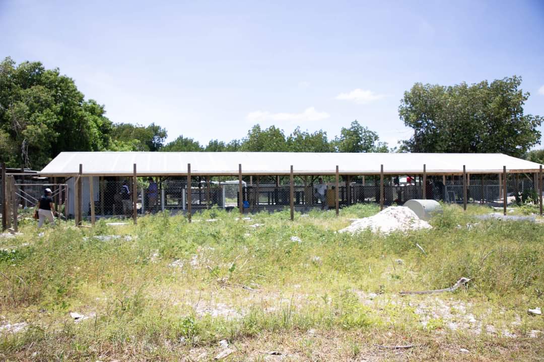 Dry Litter Piggery Demo Site – Pacific Waste Plus